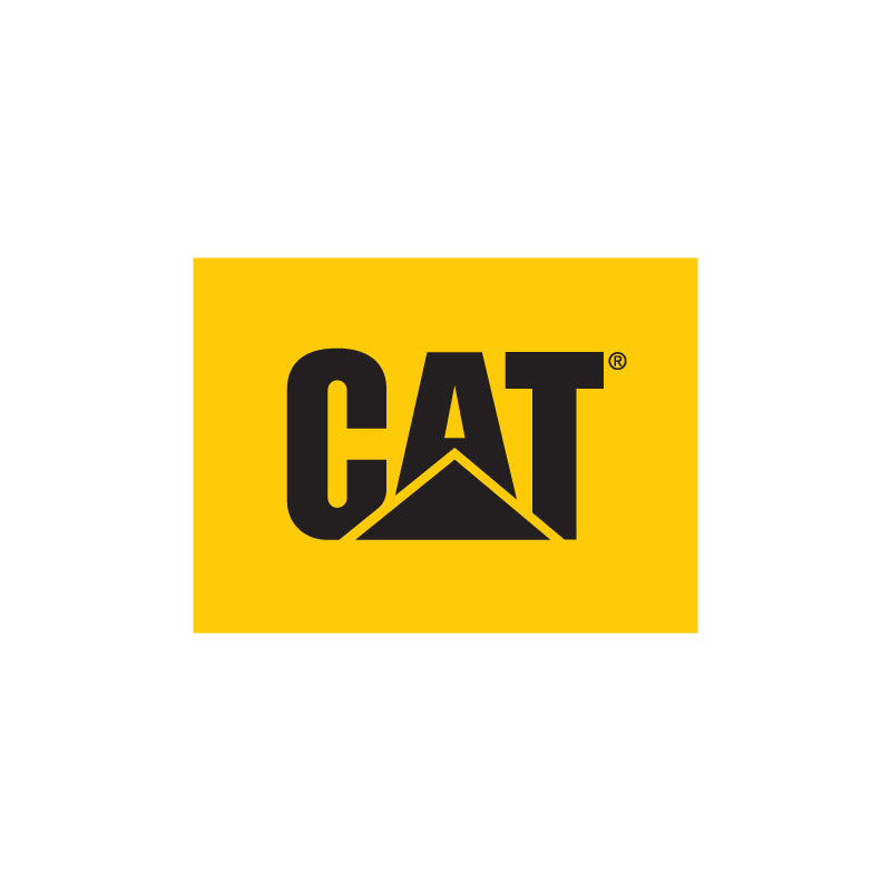 Cat Footwear Logo Modern, Feminine, Shoe Logo Design For Kittens 'N'